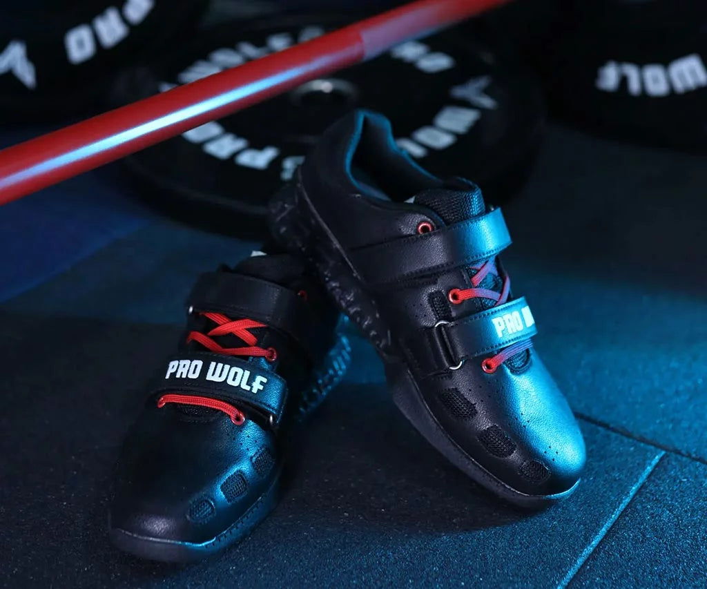 Revolutionizing Fitness | Exceptional & Affordable – PRO WOLF